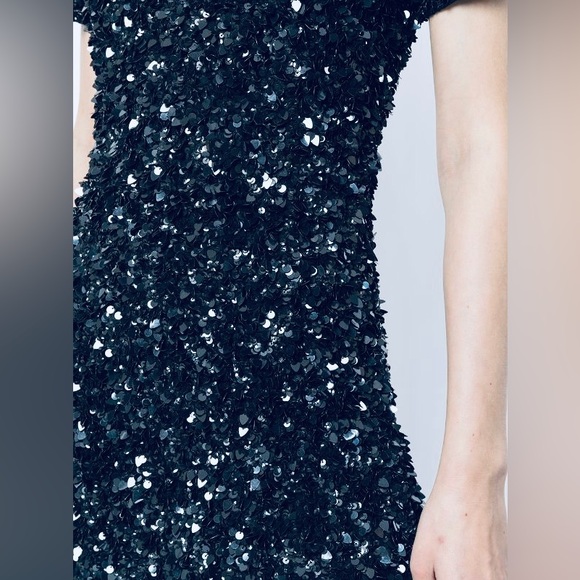 Rachel Gilbert | Dresses | Rachel Gilbert Nixie Gown Sequin Embellished ...